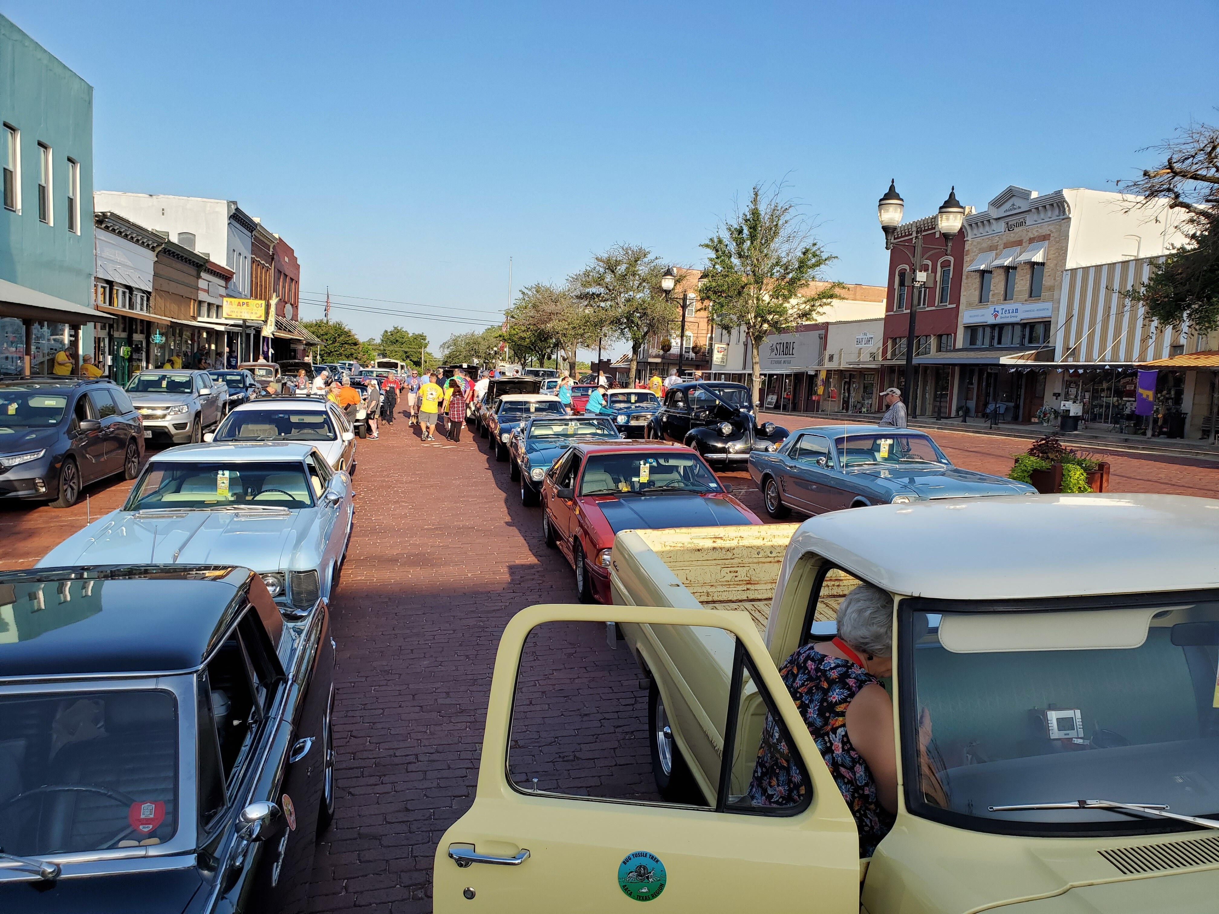 Bug Tussle Trek - Hemmings