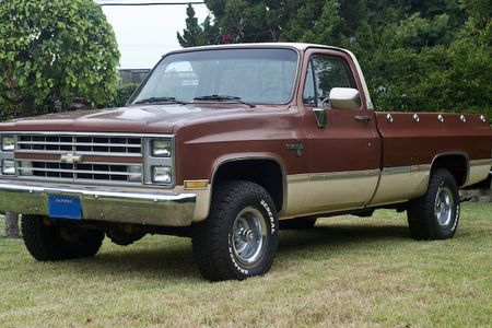 Chevrolet C10s for Sale | Hemmings