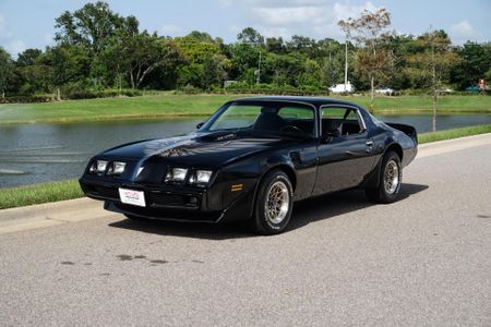1979 Pontiac GTO for Sale - Hemmings