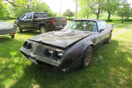 1981 Pontiac Trans Am For Sale | Hemmings