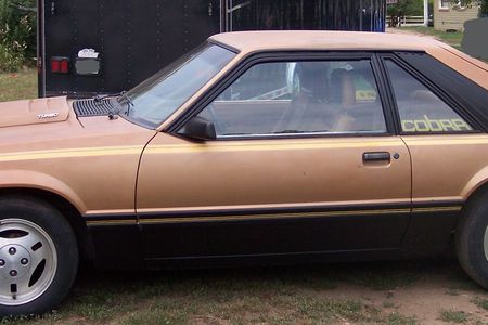 1980 Ford Mustang For Sale - Hemmings