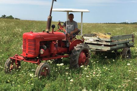 Classic Farmall Cub For Sale | Hemmings