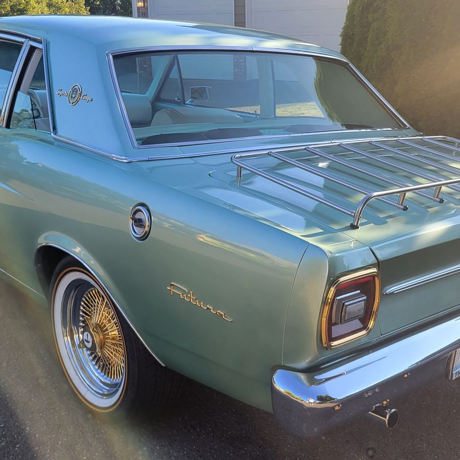 Blue And Gold Muscle Falcon