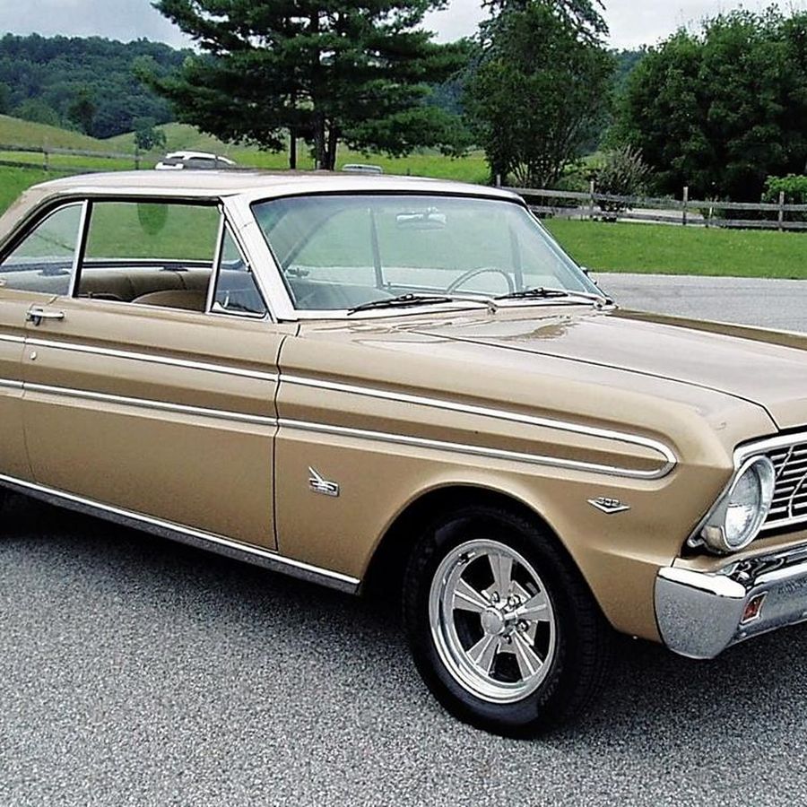 Blue And Gold Muscle Falcon