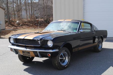 Shelby GT350H For Sale | Hemmings
